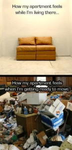 20 of the Funniest Moving Memes We Could Find